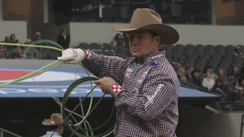 Team Roping GIFs - Get the best GIF on GIPHY
