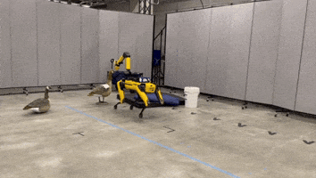 Johns Hopkins Applied Physics Lab GIFs on GIPHY - Be Animated