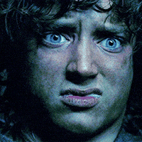 Frodo Smile Gif