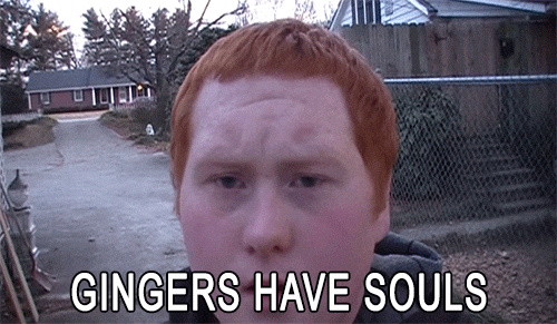 Code Ginger GIFs - Get the best GIF on GIPHY