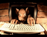 Rage Keyboard Gif