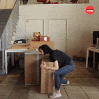 Everyday-struggle GIFs - Get the best GIF on GIPHY