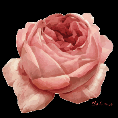 Rose Rosie GIFs - Get the best GIF on GIPHY