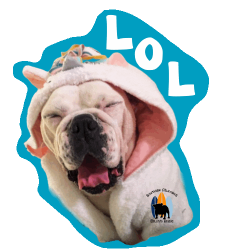 English Bulldog Lol Sticker by Southern California Bulldog Rescue for ...
