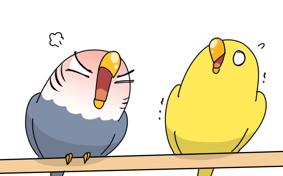 Argue Angry Bird Sticker by A Budgie's Life for iOS & Android | GIPHY