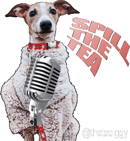 Italian Greyhound Dog Sticker by normanandpiper for iOS & Android | GIPHY