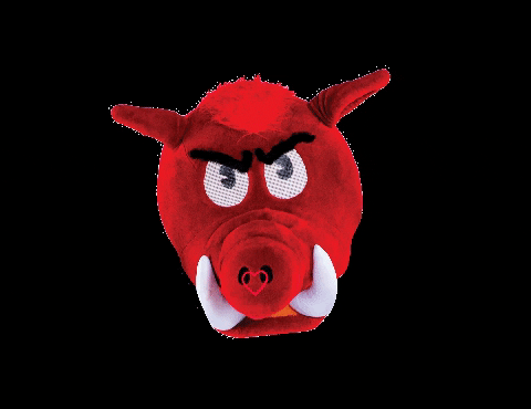 University Of Arkansas Hogs GIF by Arkansas Alumni Association - Find ...