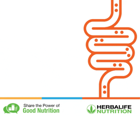 Herbalife Nutrition Philippines GIF - Find & Share on GIPHY