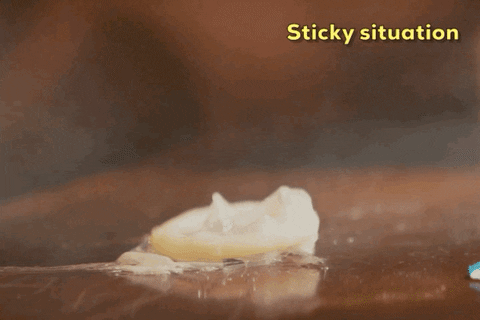 Avoid-the-situation GIFs - Get the best GIF on GIPHY