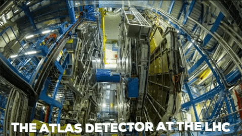 Atlas Lhc GIF by CERN - Find & Share on GIPHY