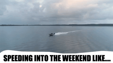 Catch More Fish GIF - Find & Share on GIPHY