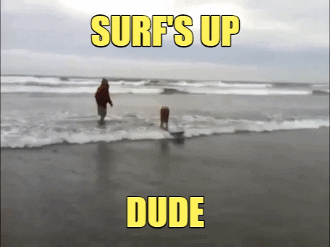 Oregon-coast GIFs - Get the best GIF on GIPHY