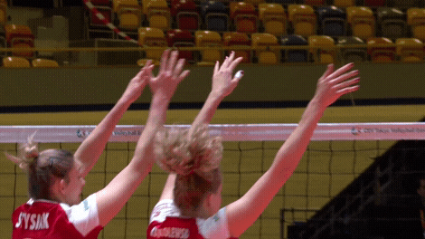 Cheer Block GIF by CEV - European Volleyball - Find & Share on GIPHY