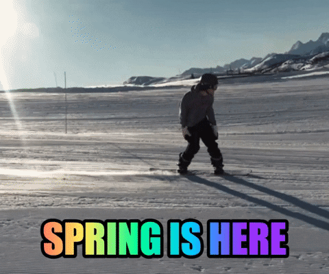 Spring Snowboarding GIF by Sunshine Village - Find & Share on GIPHY