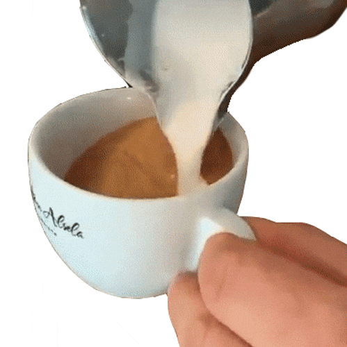 Flat White GIFs - Get the best GIF on GIPHY