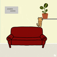 Prayer Plants GIFs