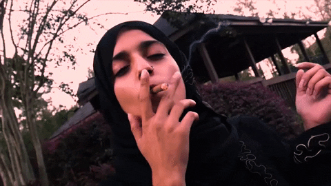 Muslim-girls GIFs - Get the best GIF on GIPHY