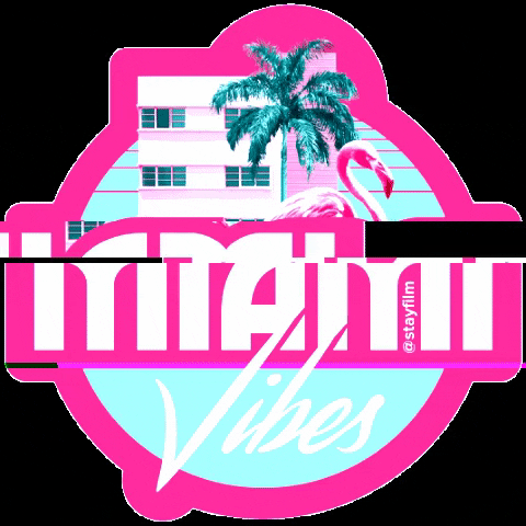 Miami Beach Florida GIFs - Find & Share on GIPHY
