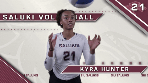 Siu-salukis GIFs - Get the best GIF on GIPHY