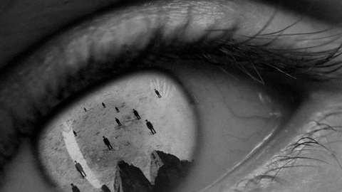 White Fro GIFs - Get the best GIF on GIPHY