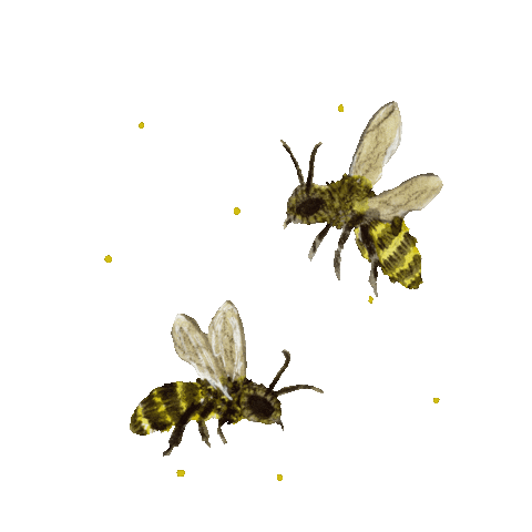 Bee Honey Sticker for iOS & Android | GIPHY