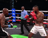 Boxing-punch GIFs - Get the best GIF on GIPHY