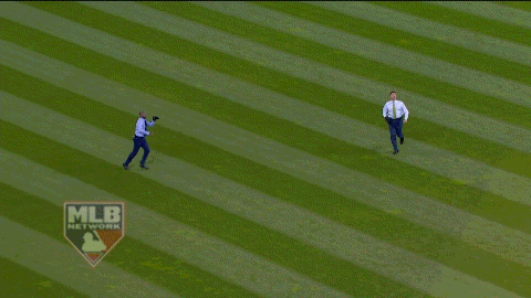 Ball Drop Baseball GIF by MLB Network - Find & Share on GIPHY