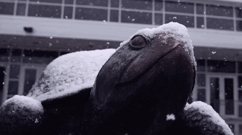 Testudo Statue GIFs - Get the best GIF on GIPHY