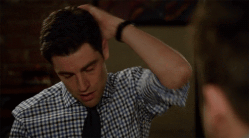 Schmidt Gifs