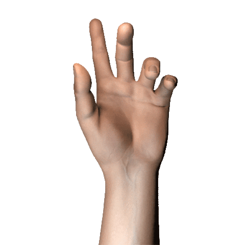 Hand Waving Animated Gif