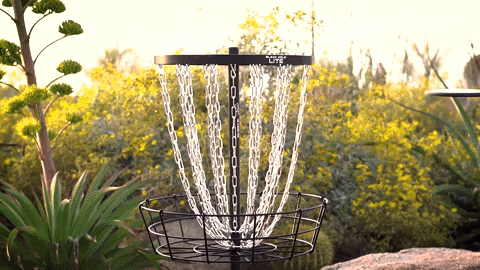 Frisbee-golf GIFs - Get the best GIF on GIPHY