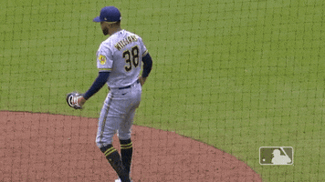 Milwaukee Brewers GIFs on GIPHY - Be Animated