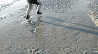 Quicksand Gif