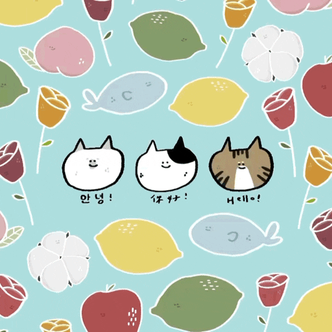 Kachin GIFs - Get the best GIF on GIPHY