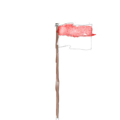 Flag Ceremony GIFs - Get the best GIF on GIPHY