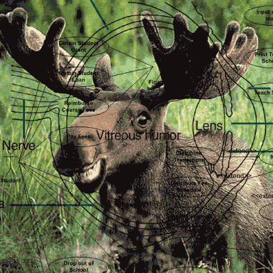 Board GIFs - Find & Share on GIPHY