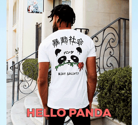 Hello-panda GIFs - Get the best GIF on GIPHY