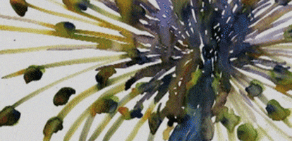 Naked Branches GIFs - Get the best GIF on GIPHY