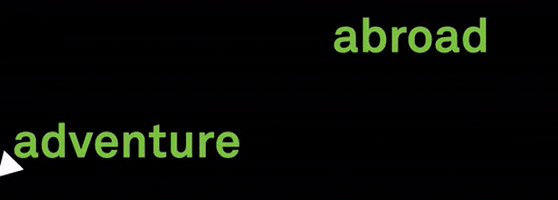 Abroad In Germany GIFs - Get the best GIF on GIPHY