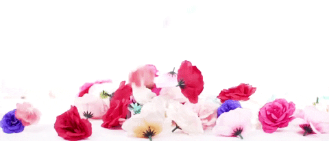 Fueled By Ramen Flower GIF by Meet Me @ The Altar - Find & Share on GIPHY
