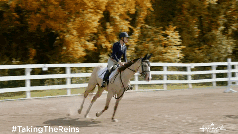 Jump Horse GIF by Hallmark Channel - Find & Share on GIPHY