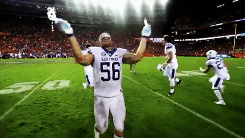 University Of Kentucky Wildcats GIFs - Get the best GIF on GIPHY