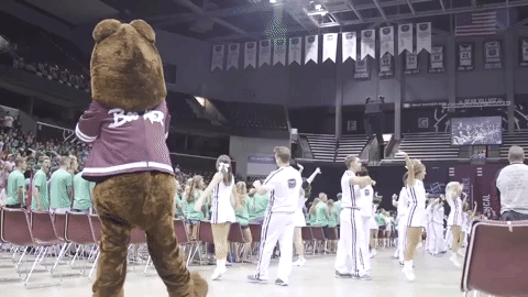 Missouri State University GIF - Find & Share on GIPHY