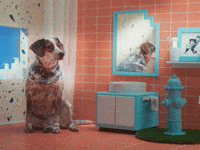 Reflect-mirror GIFs - Get the best GIF on GIPHY