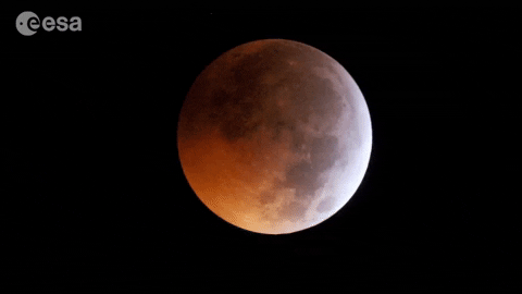 Super-blood-moon GIFs - Get the best GIF on GIPHY