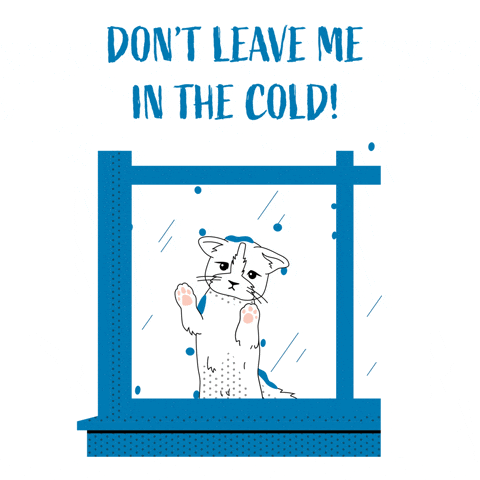 Bostonma GIFs - Get the best GIF on GIPHY