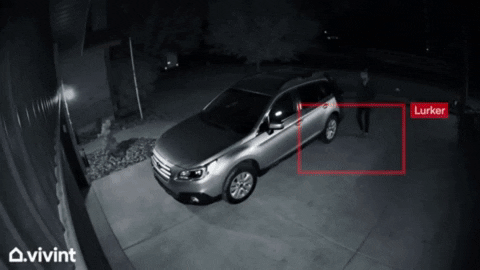 Securitysystem GIFs - Get the best GIF on GIPHY