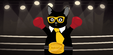 Boxing Cat GIFs - Get the best GIF on GIPHY