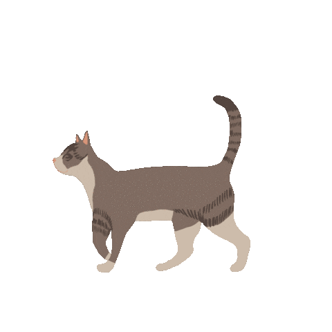 Animated Cat Walking Gif