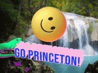Princeton-tigers GIFs - Get the best GIF on GIPHY